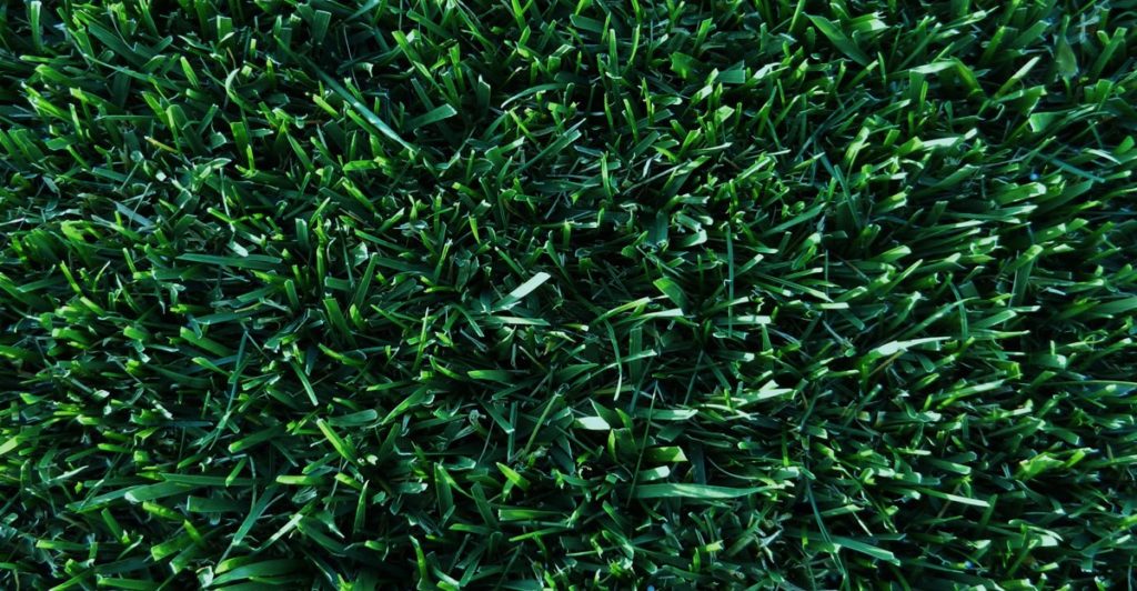 5 tipi di prato per un giardino verdissimo - Arreda il Giardino